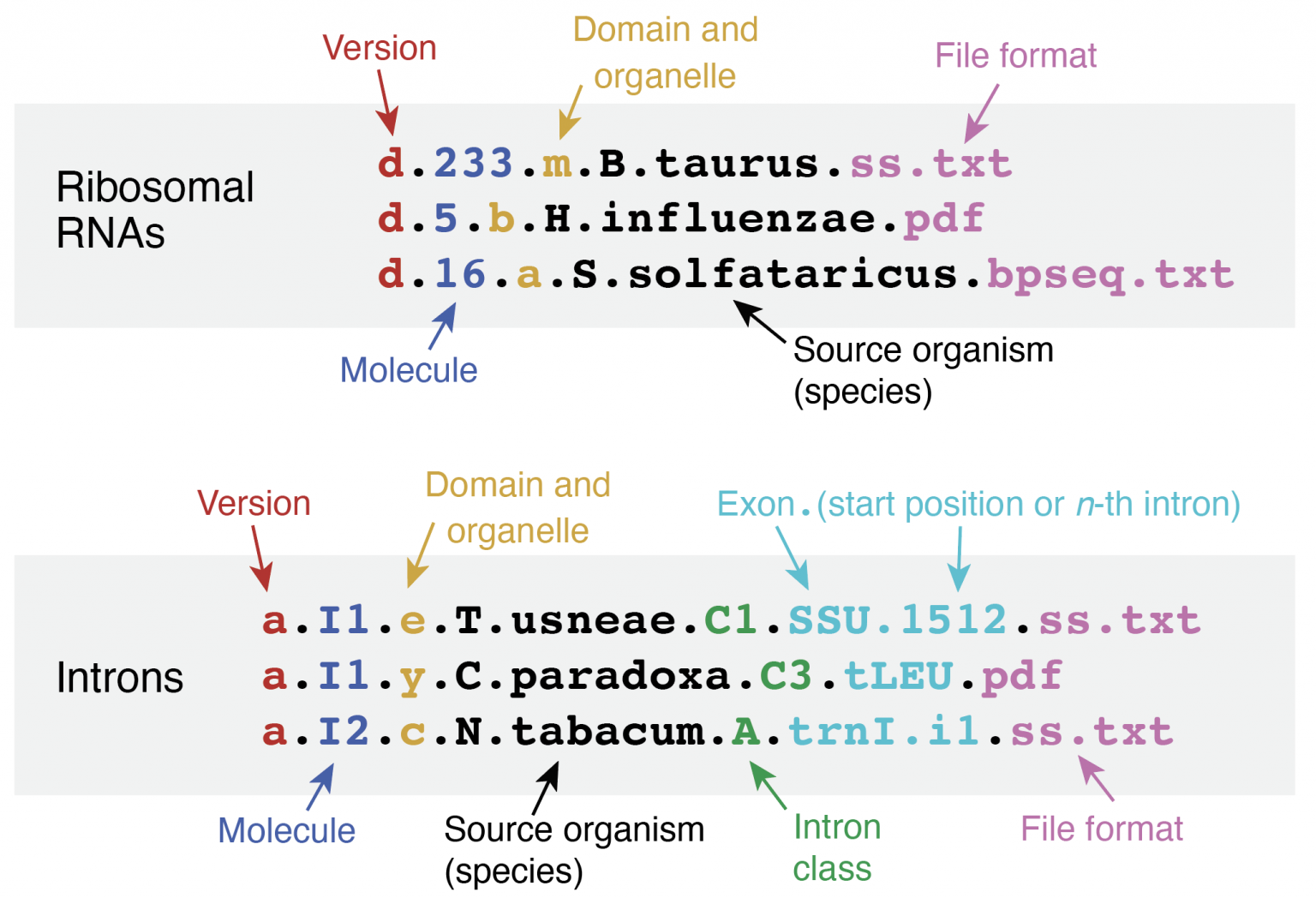 Data Guide for Structures – CRW2: Comparative RNA Web-2