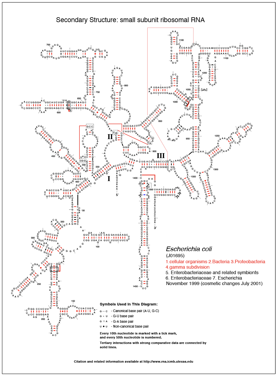 Data Guide For Structures Crw2 Comparative Rna Web 2