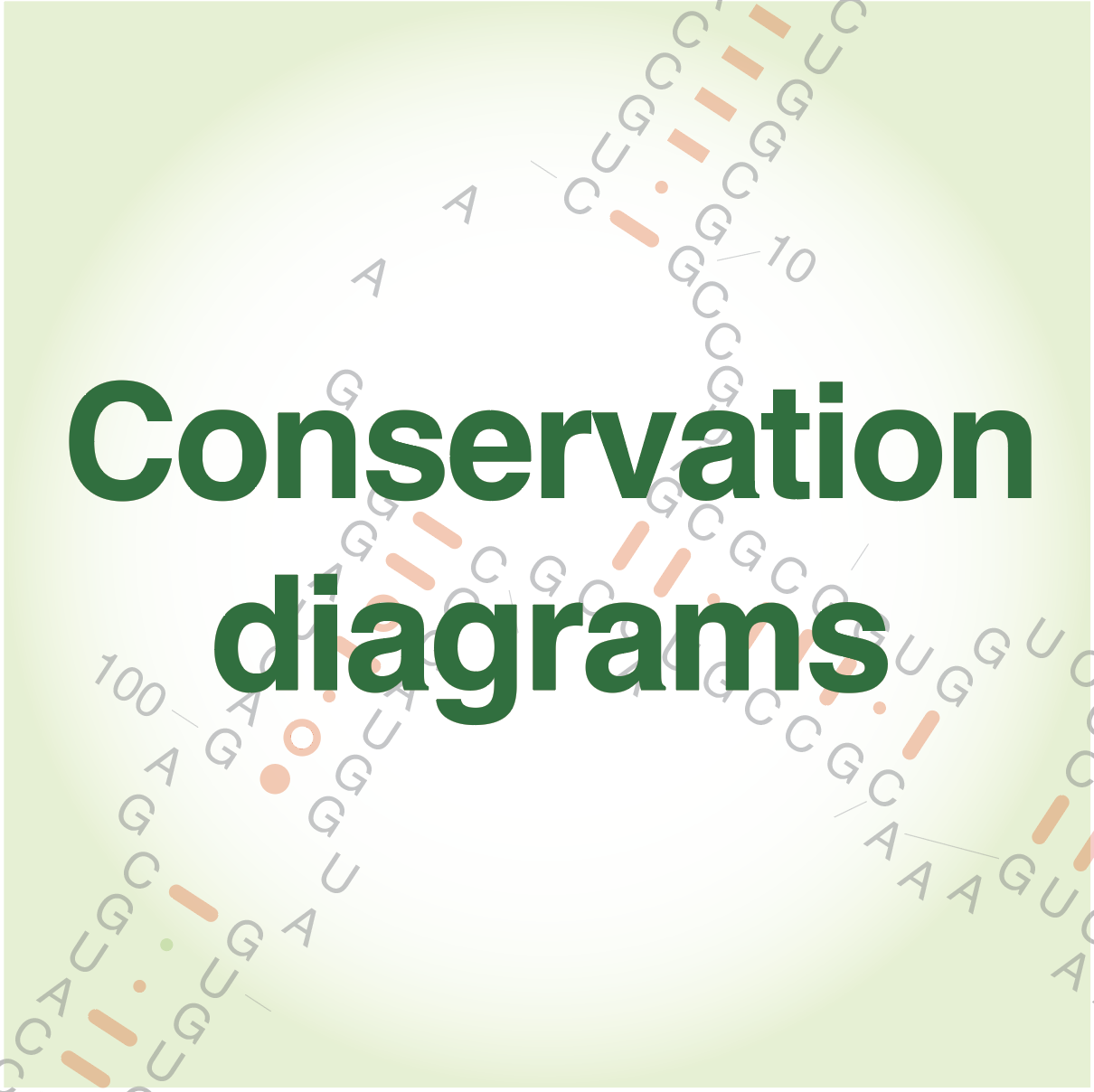 Other comparative RNA information – CRW2: Comparative RNA Web-2